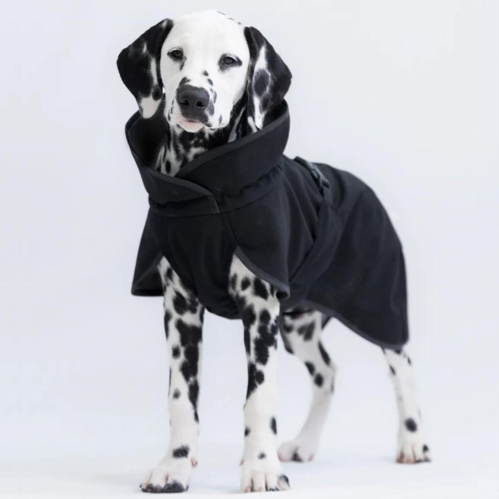 Hunderegenmantel - Recovery Softshelljacke - Paikka - Schwarz
