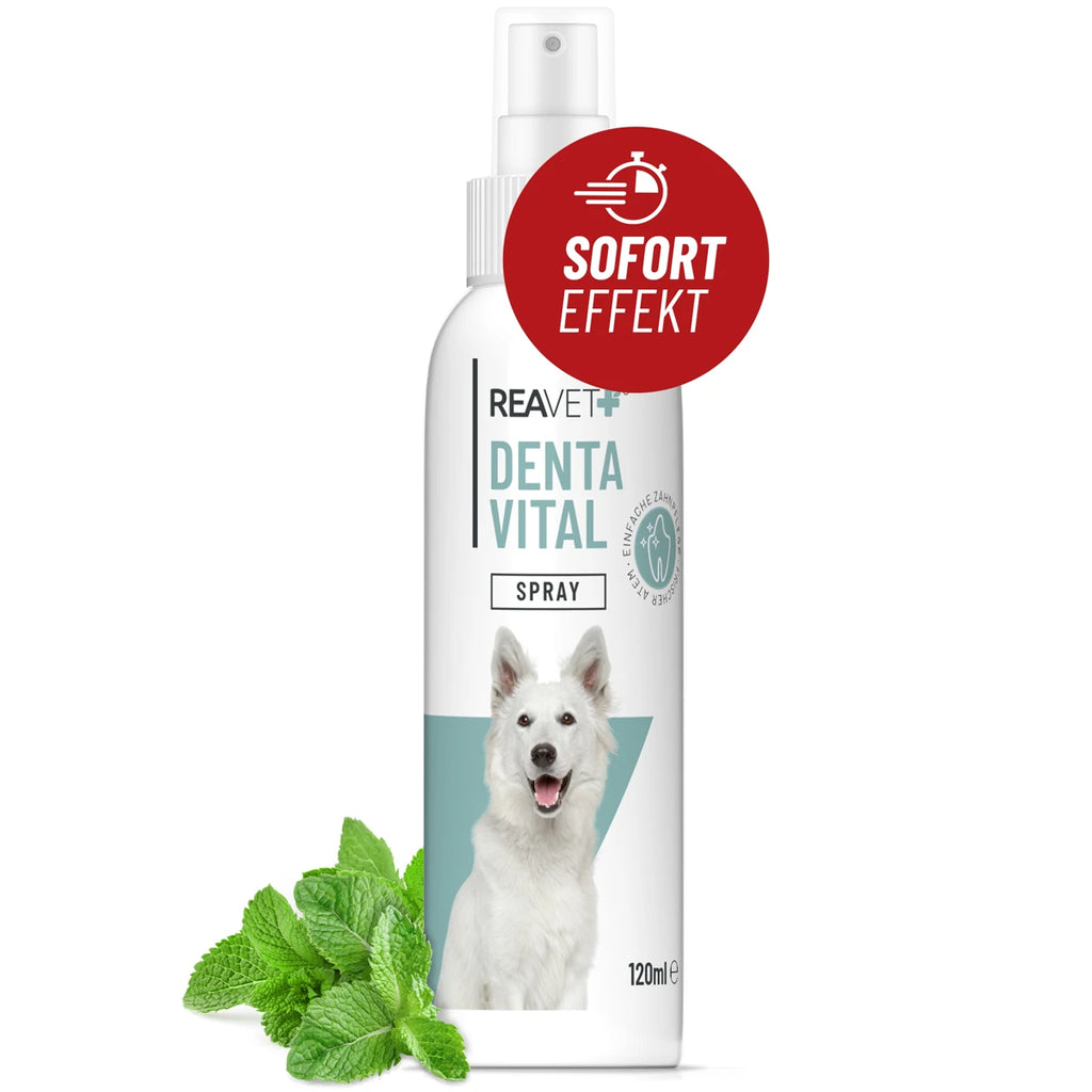 Denta Vital Spray 120ml - ReaVET