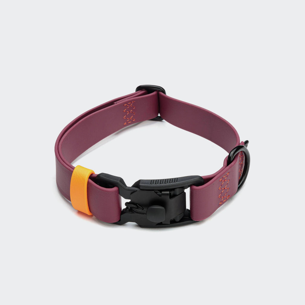 Hundehalsband - BioThane - Ipanema - Cloud7 - Magenta-Orange