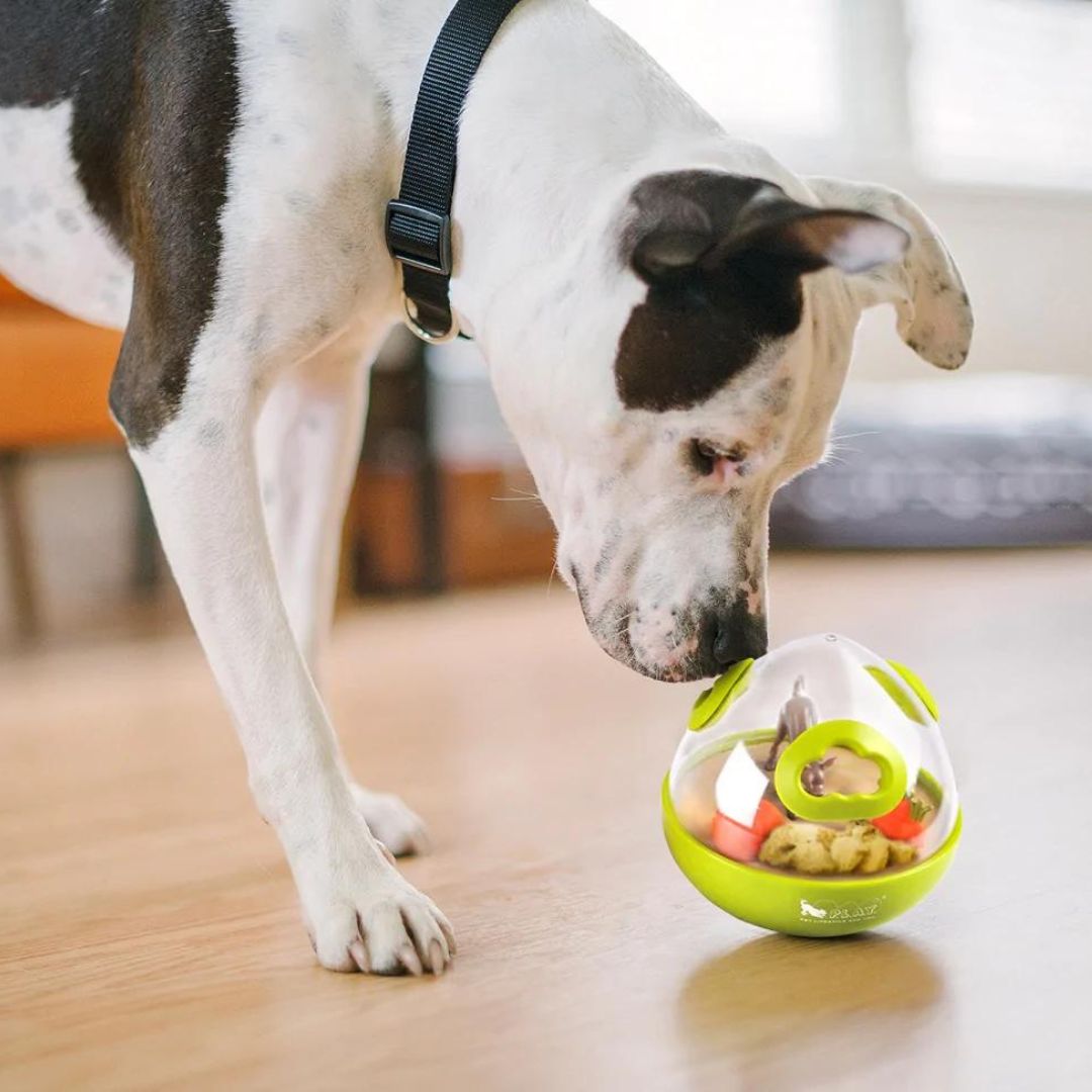 Hundespielzeug - Wobble Ball - P.L.A.Y. - Grün - Orange – WOOFSTUFF ...